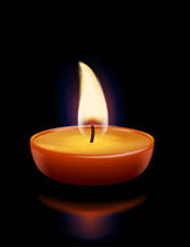 Dixie Brown - 2022 - Columbia Pet Cremation Center