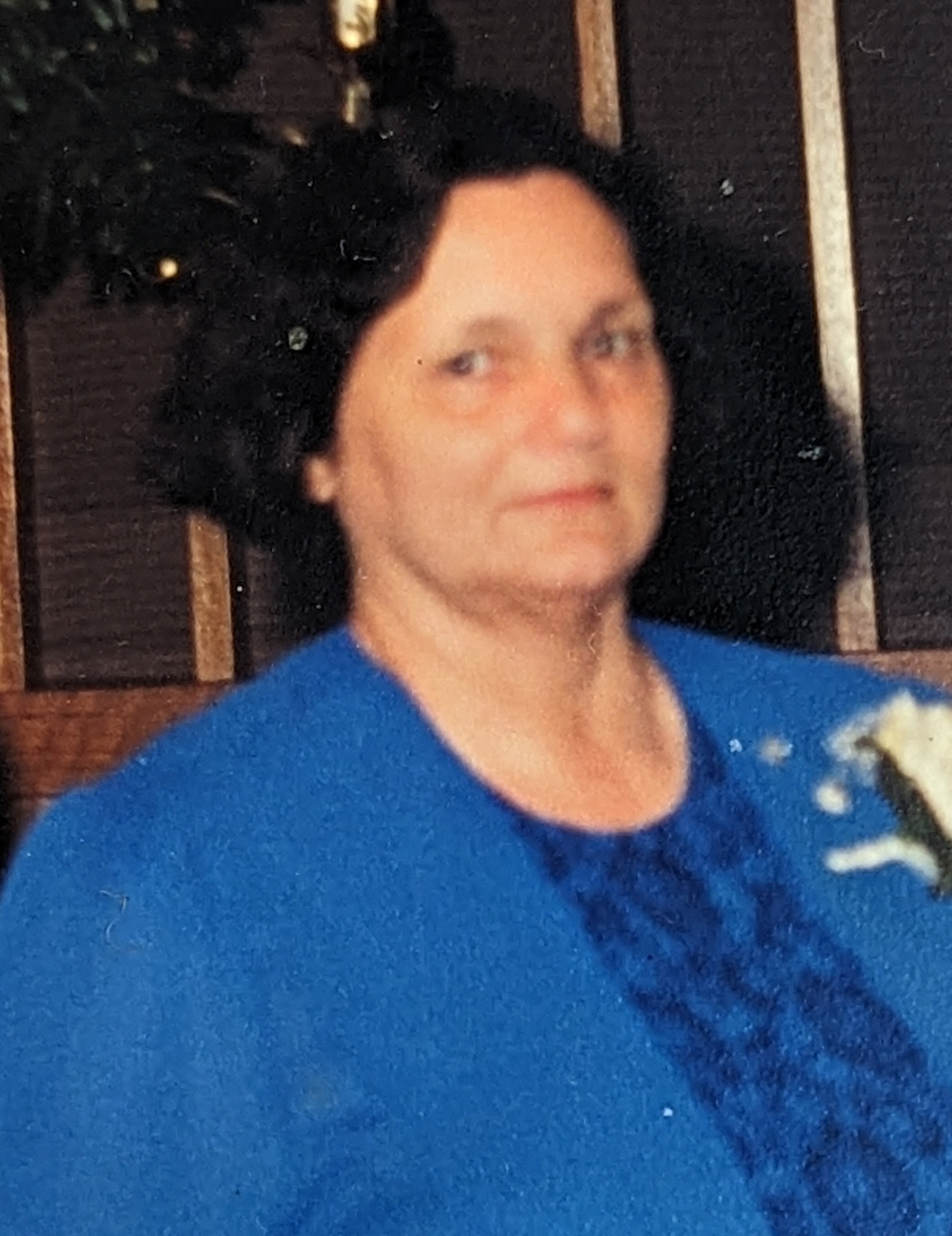 Nancy Marie Wheeler - 2022 - Meierhoffer Funeral Home & Crematory