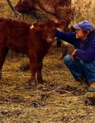 Michael Alphonse Meehan - 2022 - Tubman Funeral Homes