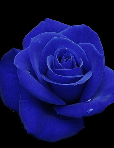 John W Cook Jr. - 2022 - Cotton Funeral Service