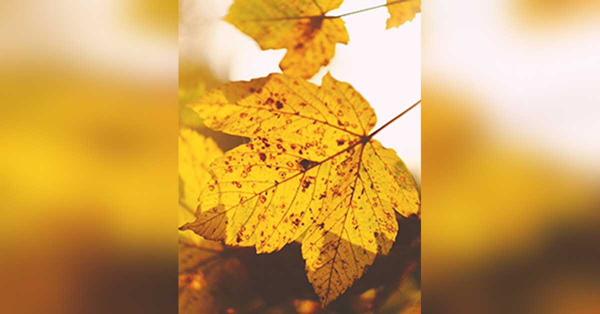 Obituary information for Bruce William Rennick