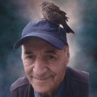 Jules Morin Obituary - 2018 - Test Location