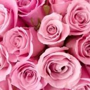 Maria Solari - 2017 - Test Location