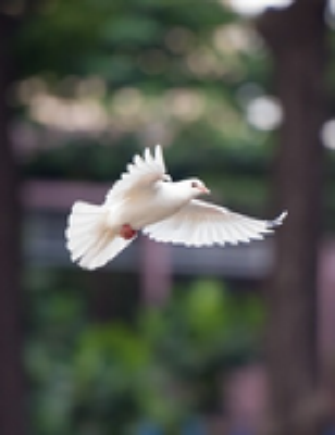 Richard Wesley Middleton Obituary - 2022 - Cremation Services of the Triad