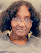 Diana Lytle Williams - 2023 - Ray Funeral & Cremation Service