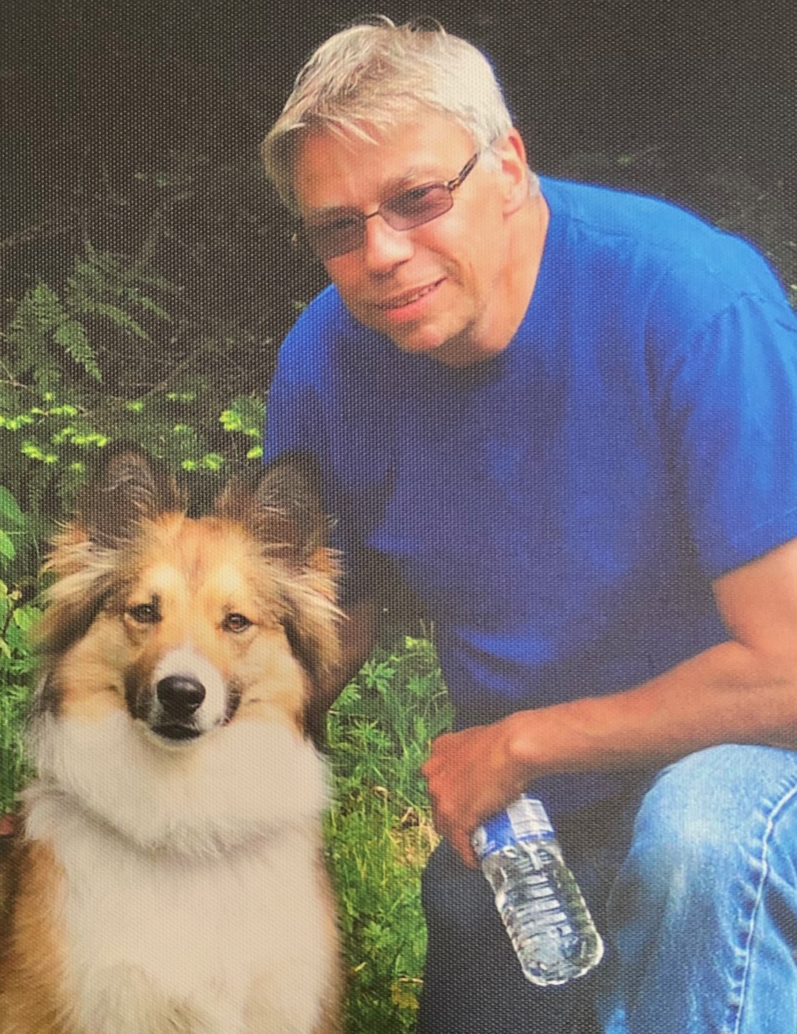 Philip Roy - Memories Trees