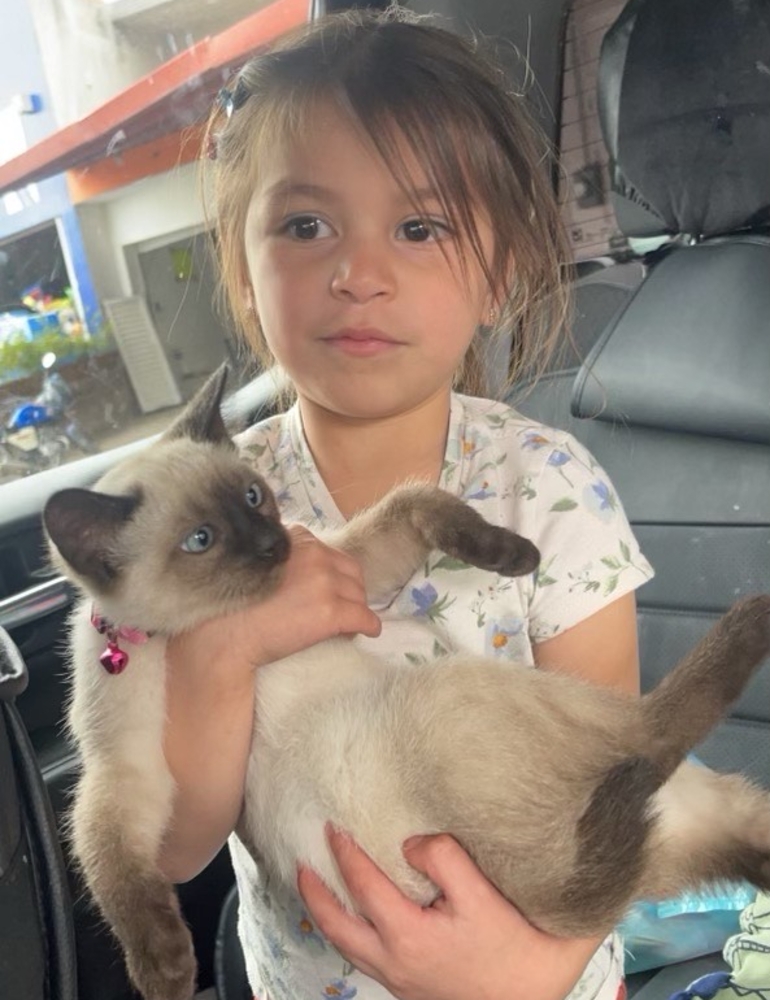 Sky Rodriguez - 2023 - FREE Pet Cremation