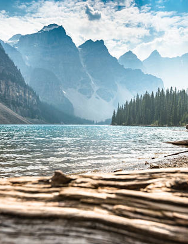 Theodore Ireland - 1970 - Theodore Ireland