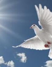 Robin Lynn Belcher-Jackson - 2023 - Coston Funeral Homes, Inc.