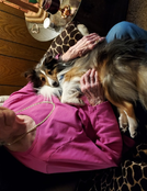 Jean Rae Blom - 2022 - Easy Cremation