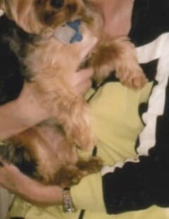 Kimberly Lynn Buckmaster - 2018 - Daneri Mortuary