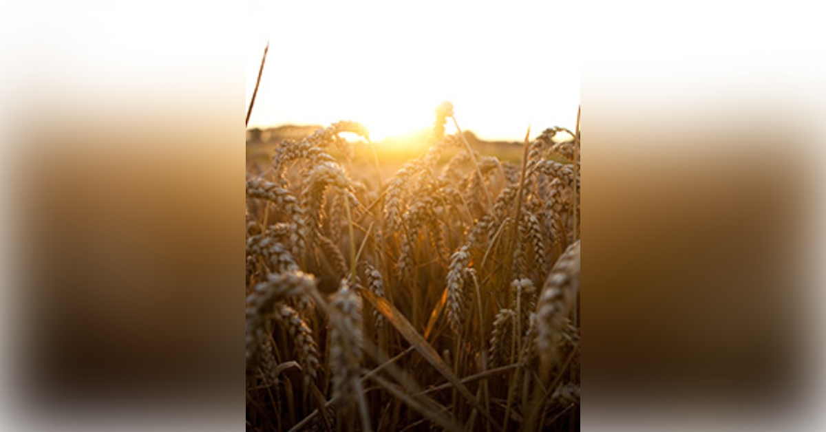 Obituary information for Kenneth C. "Kenny" Long