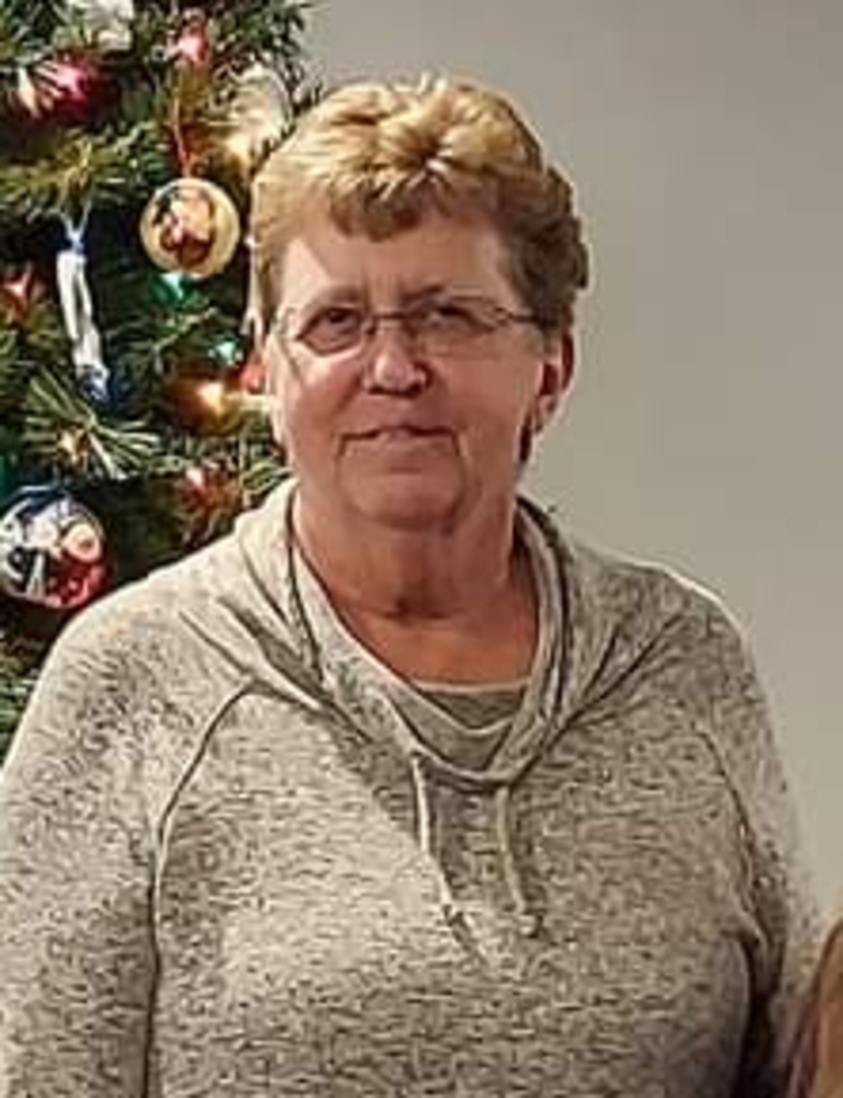 Diane Joyce Nestle - 2023 - Plaisier Funeral Home Inc.