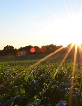 Obituary information for Ann Marie Howe