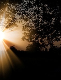 Michael David Dittman - 2023 - Brunswick Memorial Park Funeral Home and ...