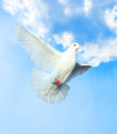 Sandra Kay Davidson - 2012 - Harrell Funeral Home