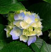 Fran Russell - 2023 - Keefe Funeral Homes