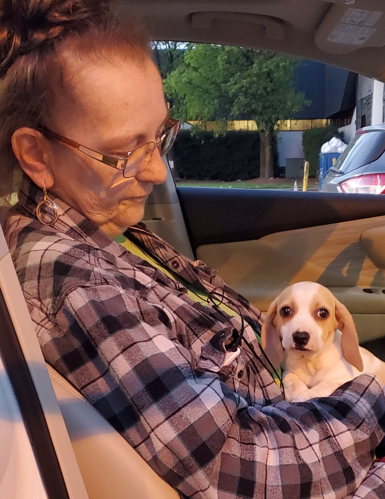 Lillie Belle Padgett - 2023 - Columbia Pet Cremation Center