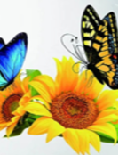 Olivia "Livy" Phillips - 2023 - Albritton Funeral Directors