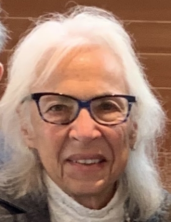 Karen Ann Rosenfeld Obituary - 2023 - Bruce C Van Arsdale Funeral Home