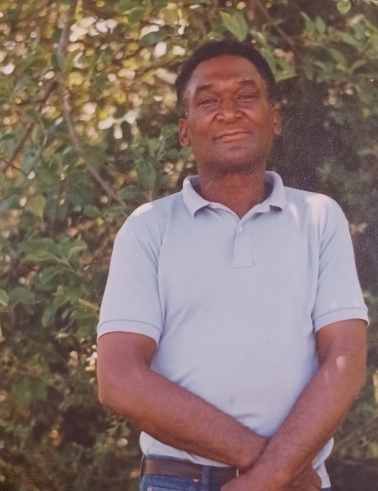 FRANK DAY - Memories Trees