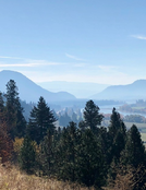 Vicky-lyn Marie Wyatt - 2023 - Bowers Funeral Service