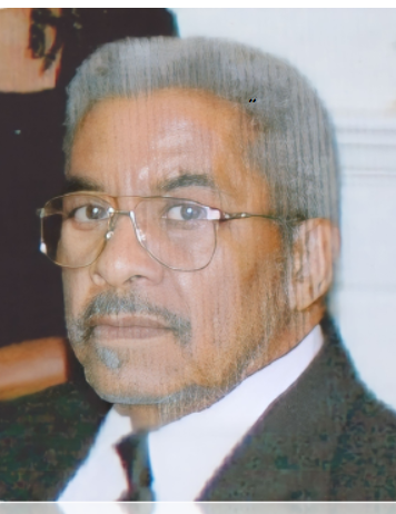 Jesse Thompson - Memories Trees