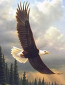 Edward W. Malueg - 2016 - Eberhardt-Stevenson Funeral Home & Crematory