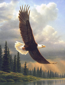 Kenneth L. Sites - 2020 - Eberhardt-Stevenson Funeral Home & Crematory