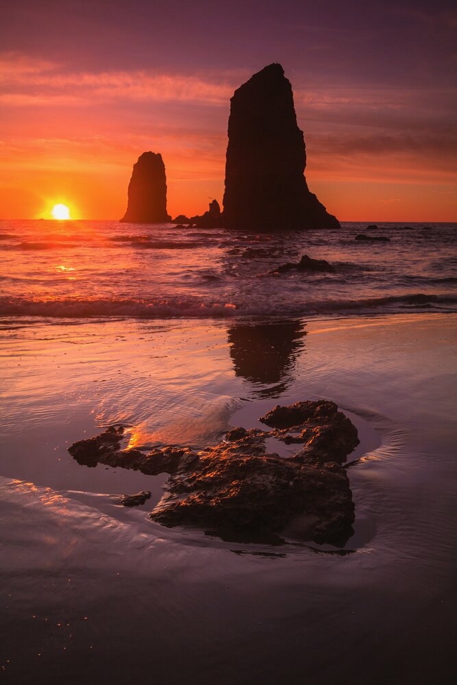 Bruno Alexander Bird - 2023 - Canby & Molalla Funeral Chapels