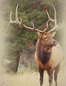 Marc Pierce - 2023 - Gray’s West & Co. Pioneer Chapel