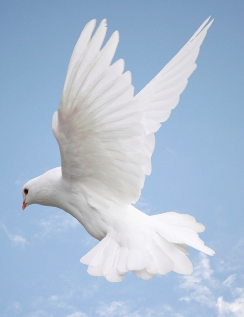 Mr. Grady Naylor, Sr. - 1970 - Mr. Grady Naylor, Sr.