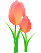 Christina Louise Todd - 2023 - Amy Stittsworth Funeral Service and ...