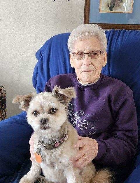 Isabelle 'Belle' Chapel - 2023 - Stenberg Funeral Home