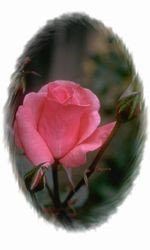 Mary Margaret Peltier - 2006 - Buxton & Bass Okeechobee Funeral Home ...