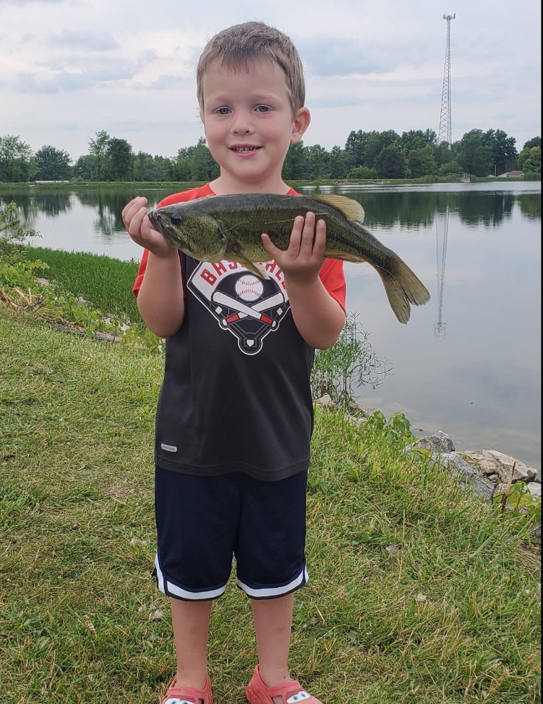 Jackson Preston - Memories Trees