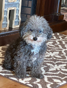 Aaron Haenel - 2023 - Binkley-Ross Funeral Home