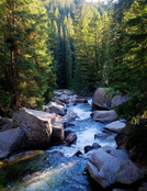 Bishop Harrison - Darlington Cremation and Burial Service