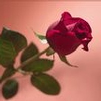 Sandra Jeanne Herman - 2008 - Muffley Funeral Home Inc