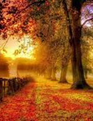 Robert Sherrow Bush - 2023 - Sanders Funeral Home