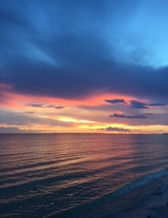 Jane "Janie" Ann Cottrell Obituary - 2023 - Care Cremation & Funeral ...