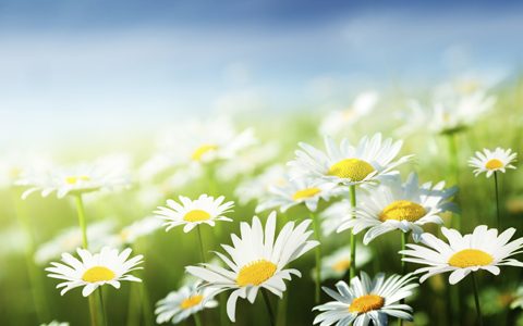 Barbara Spiegel - 1970 - Barbara Spiegel