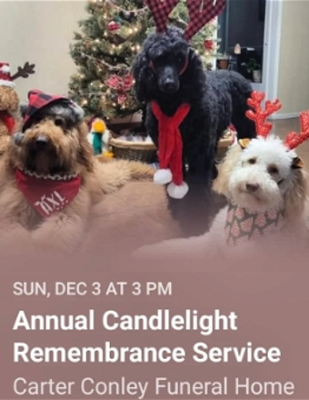 Annual Candlelight Remembrance Service Obituary - 2023 - Carter Conley ...