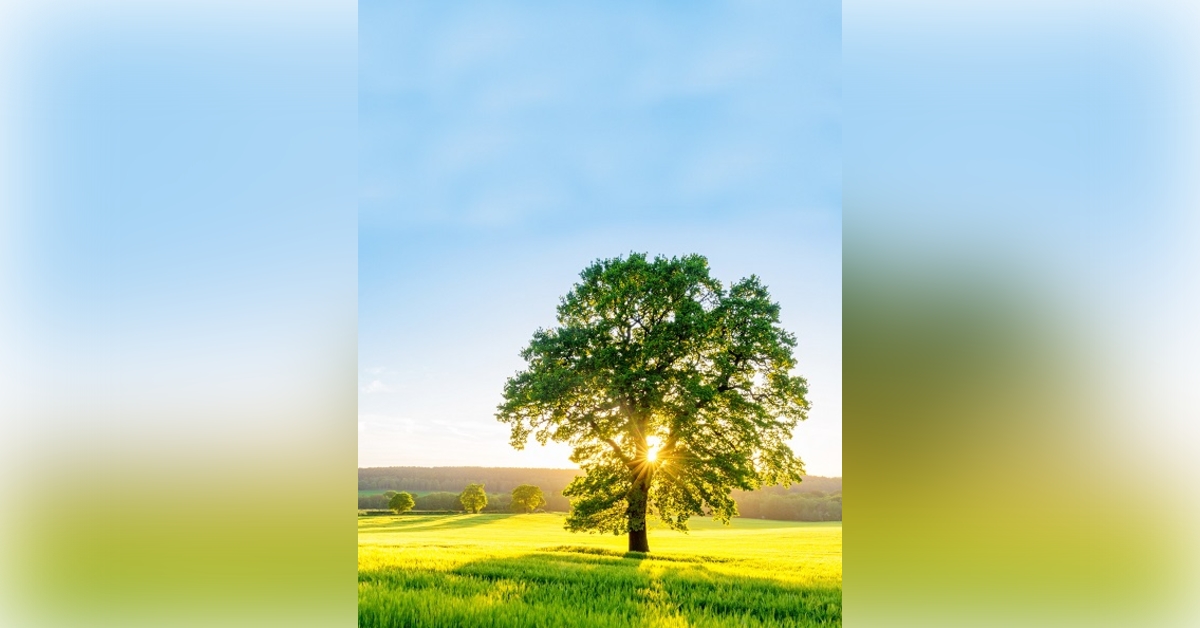 Obituary information for Neal N. Yoder