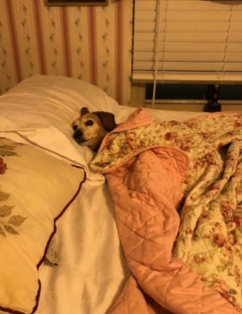 Bonnie Blue Abraham Obituary - 2023 - prvereb@aol.com