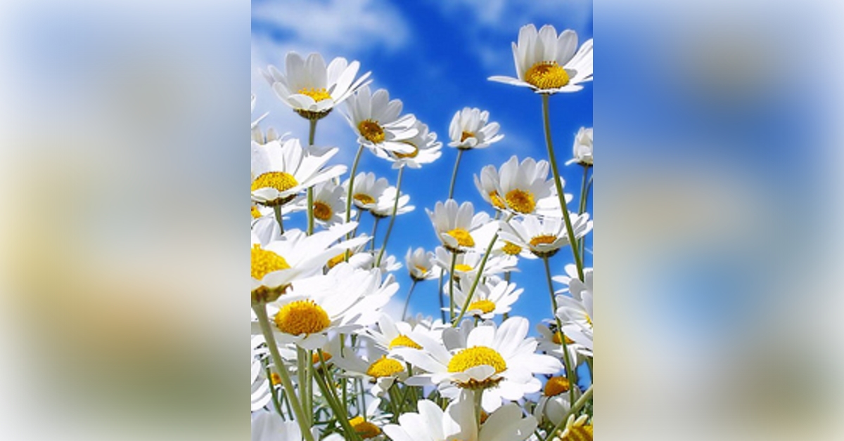 Obituary information for Joyce Lynn Gillette