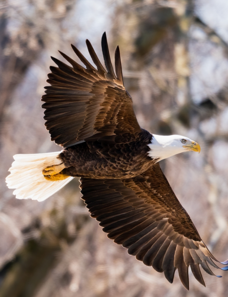 David J. Yoder - 2023 - Miller Funeral Care