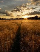 Kevin Ashley Hedrick - 2023 - Loflin Funeral Home and Cremation Services