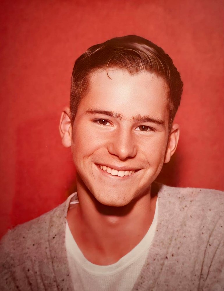 Michael Dendy - Memories Trees