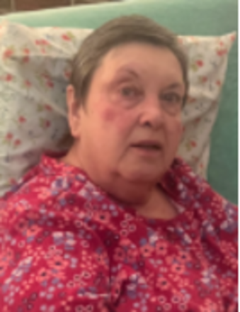 Susan A. Sulkowski Obituary - 2023 - Alvarez-Hahn Funeral services and ...